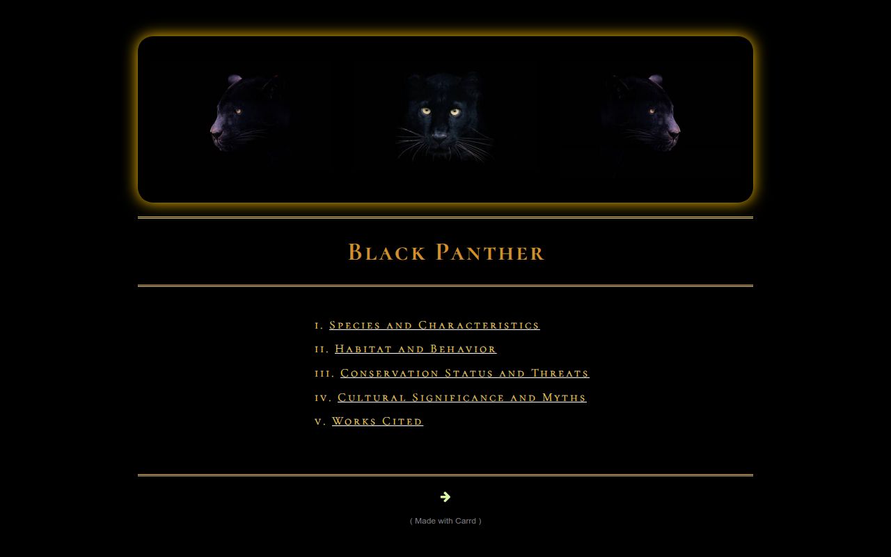 Black Panther